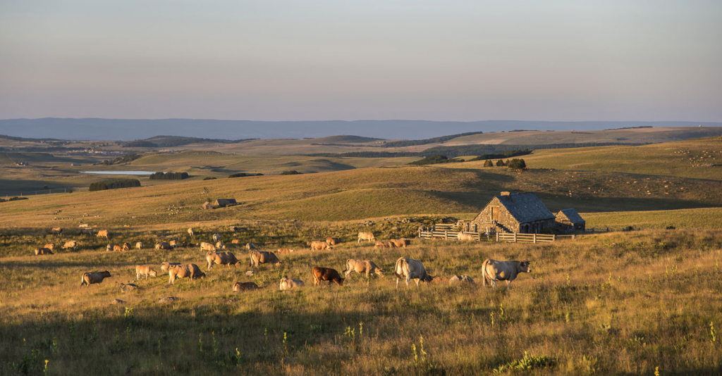 Je suis un visiteur - Parc naturel régional de l'Aubrac