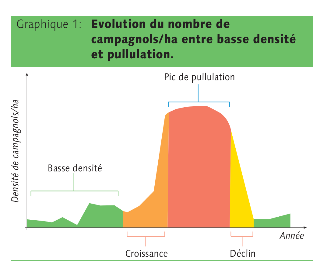 Lutte contre les pullulations de campagnol terrestre - Parc naturel ...