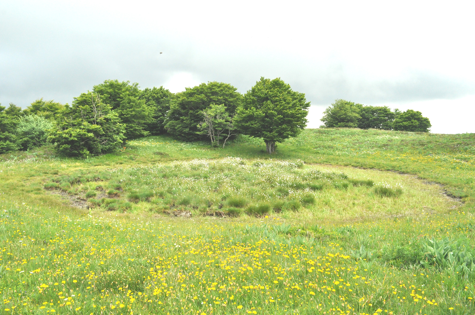 Laquets du plateau de Panouval - Parc naturel régional de l'Aubrac