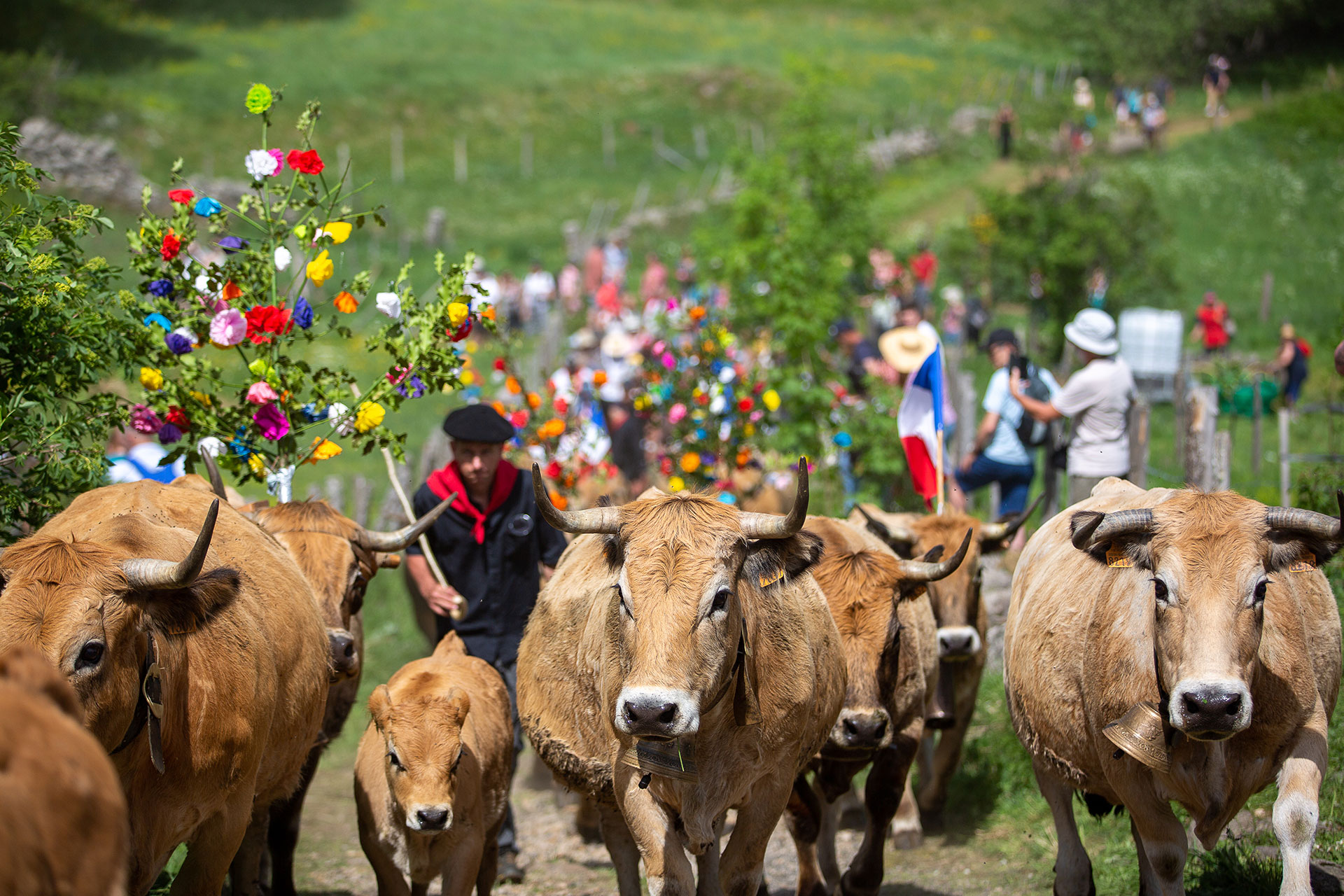 Les transhumances entrent au Patrimoine de l’Unesco - Parc naturel ...